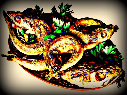 A PESCADINHA DE RABO NA BOCA - Ipressjournal