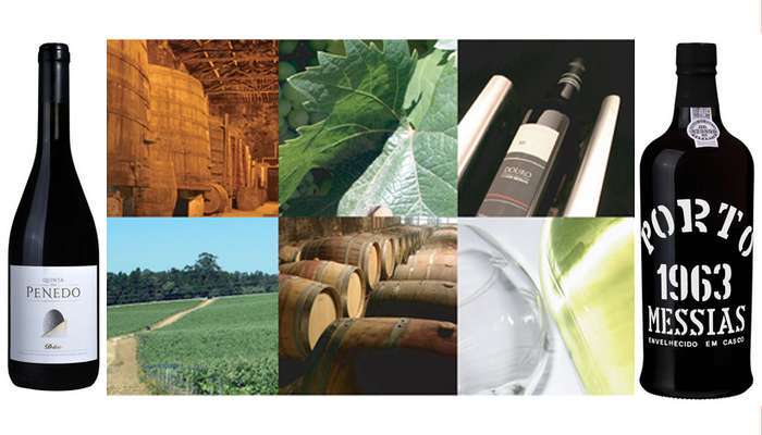 Caves Messias distinguidas pela 'Wine Enthusiast' - Ipressjournal